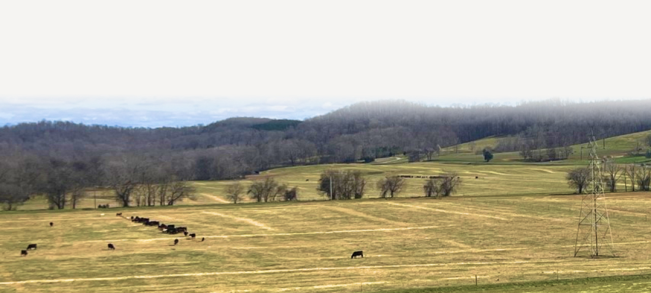 Riverside Valley Farm